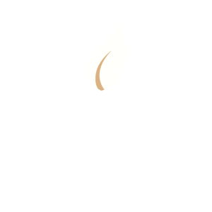 Mint Hospital – Mint, a multispeciality hospital in Adyar, Chennai ...